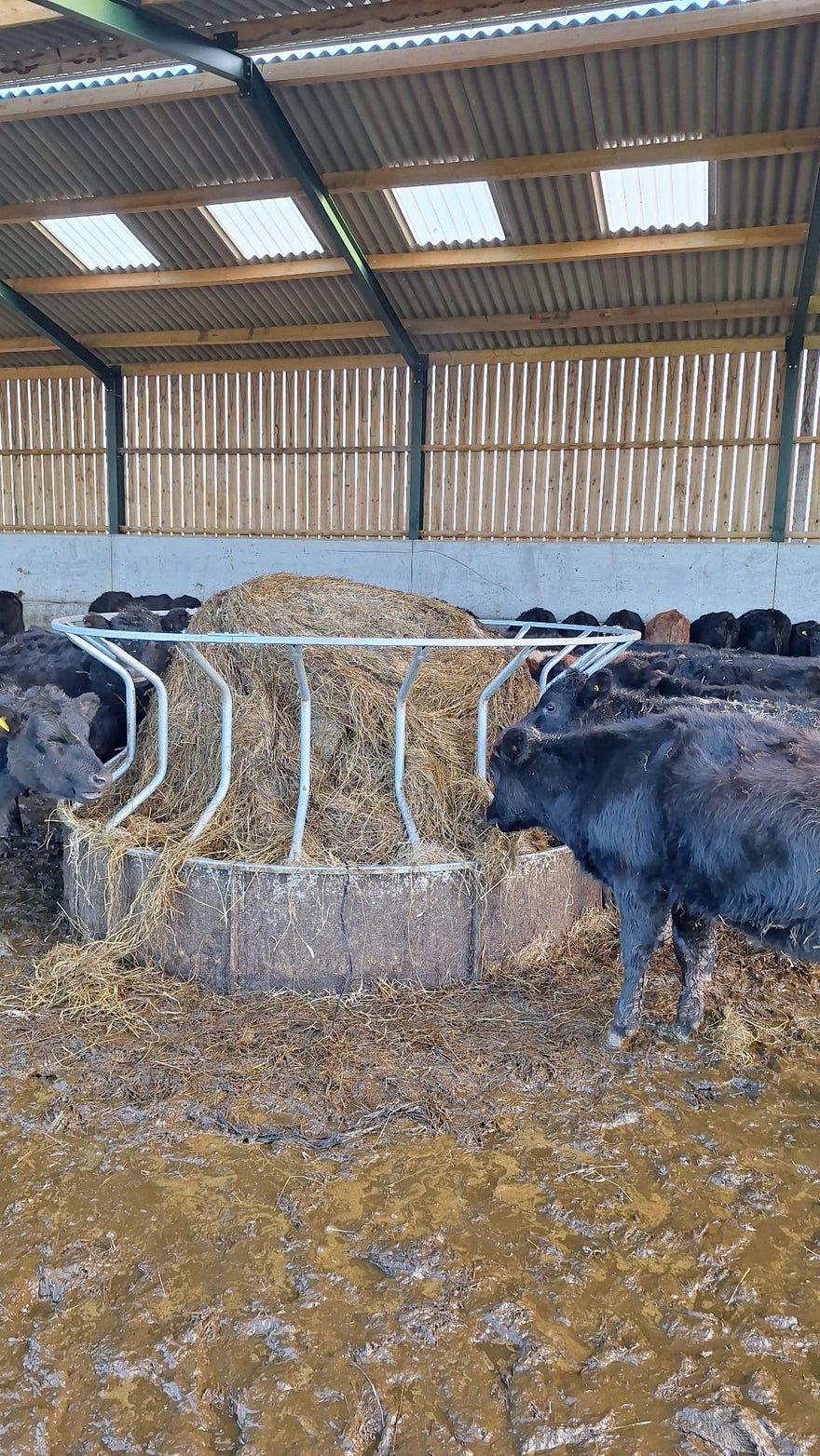 Feeding | Thorburn Group