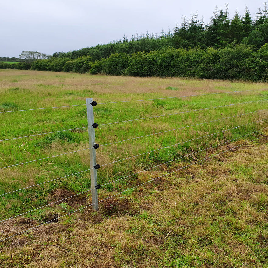 Clipex Steel Fencing Posts | Thorburn Group