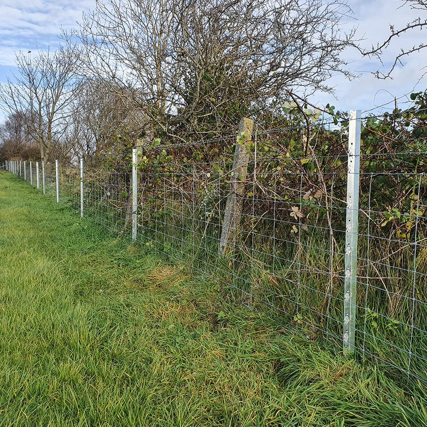Clipex Steel Fencing Posts | Thorburn Group