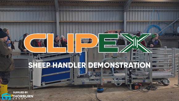 Clipex | Thorburn Group