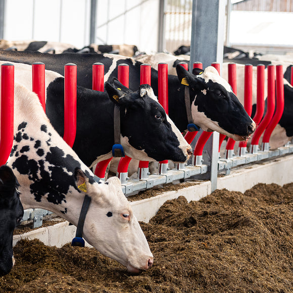 Tru Test | Livestock Electronic Weighing & EID | Thorburn Group