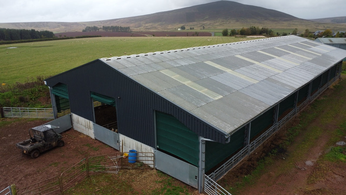 Sheep Sheds | Custom Steel Housing for UK Sheep Farms | Thorburn Group
