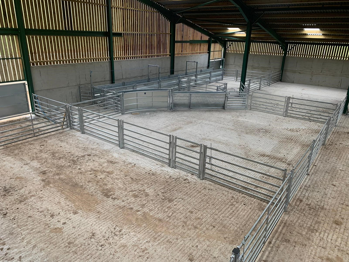 Sheep Handling Systems for UK Farms | Thorburn Group