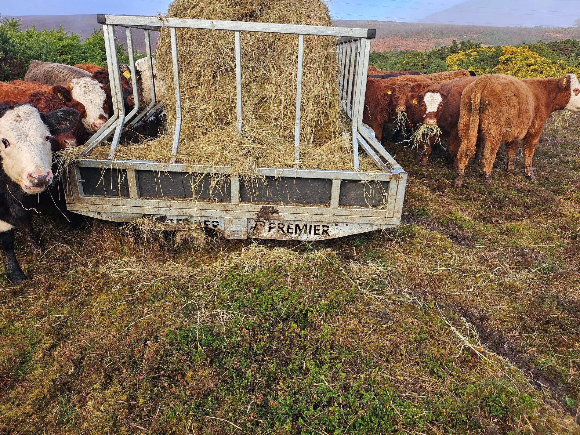 Feeding | Thorburn Group