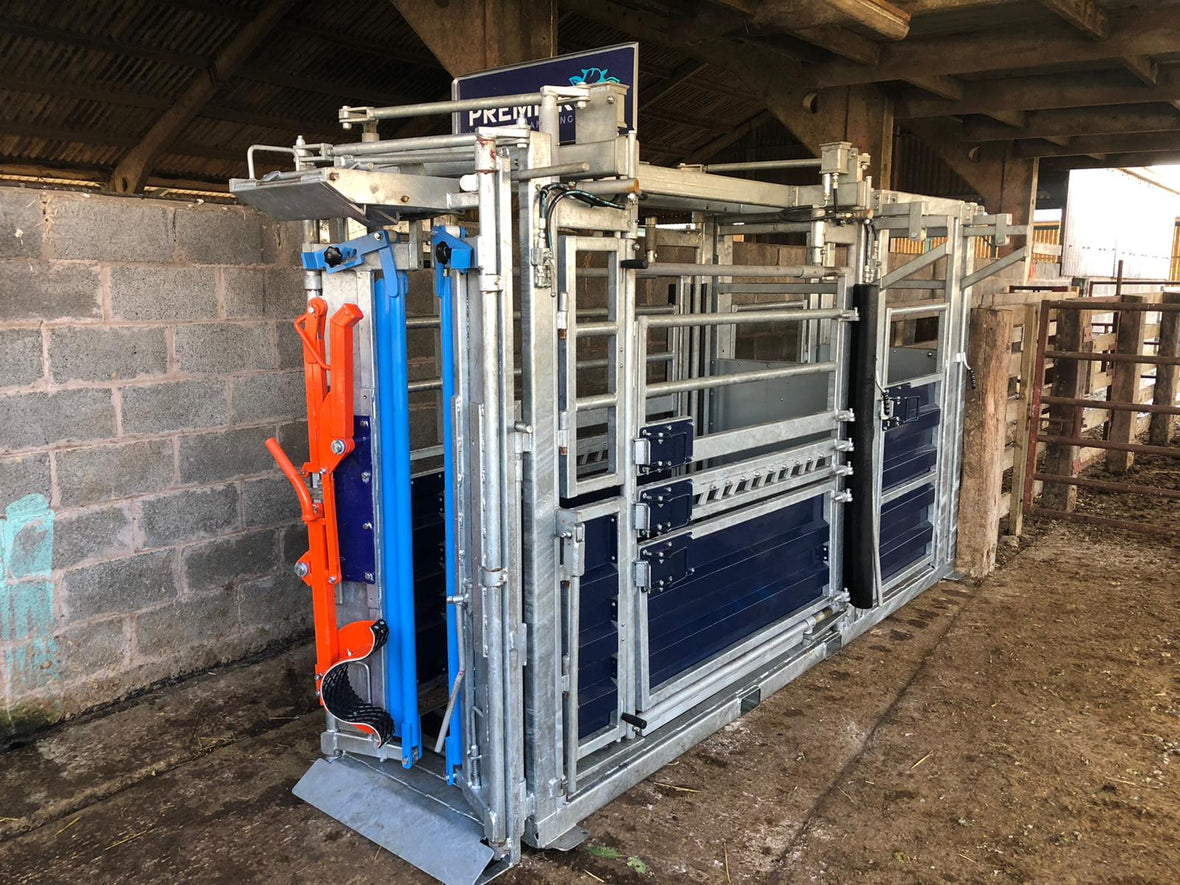 Bespoke Cattle Handling Systems for UK Farms | Thorburn Group