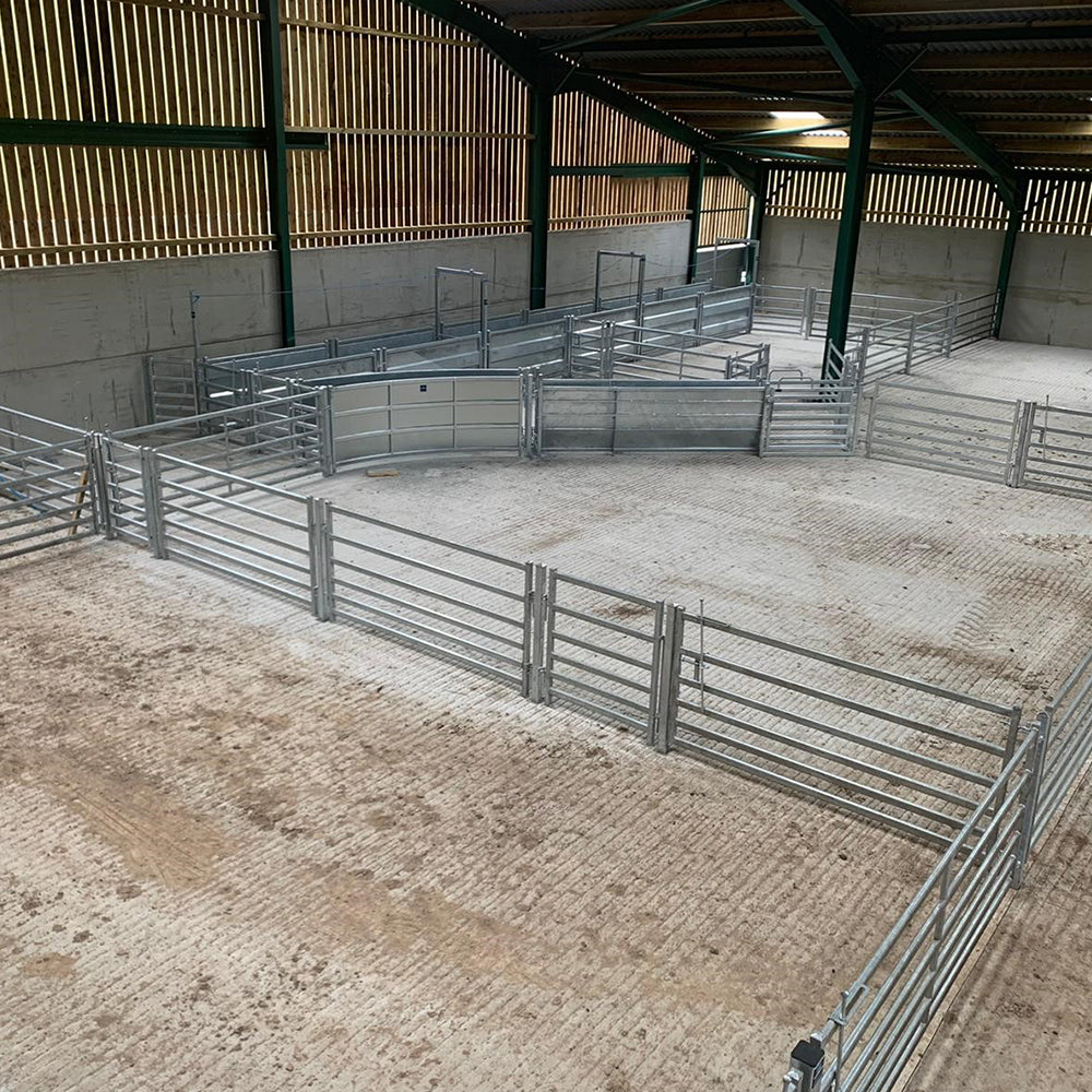 Sheep Sheds | Custom Steel Housing for UK Sheep Farms | Thorburn Group