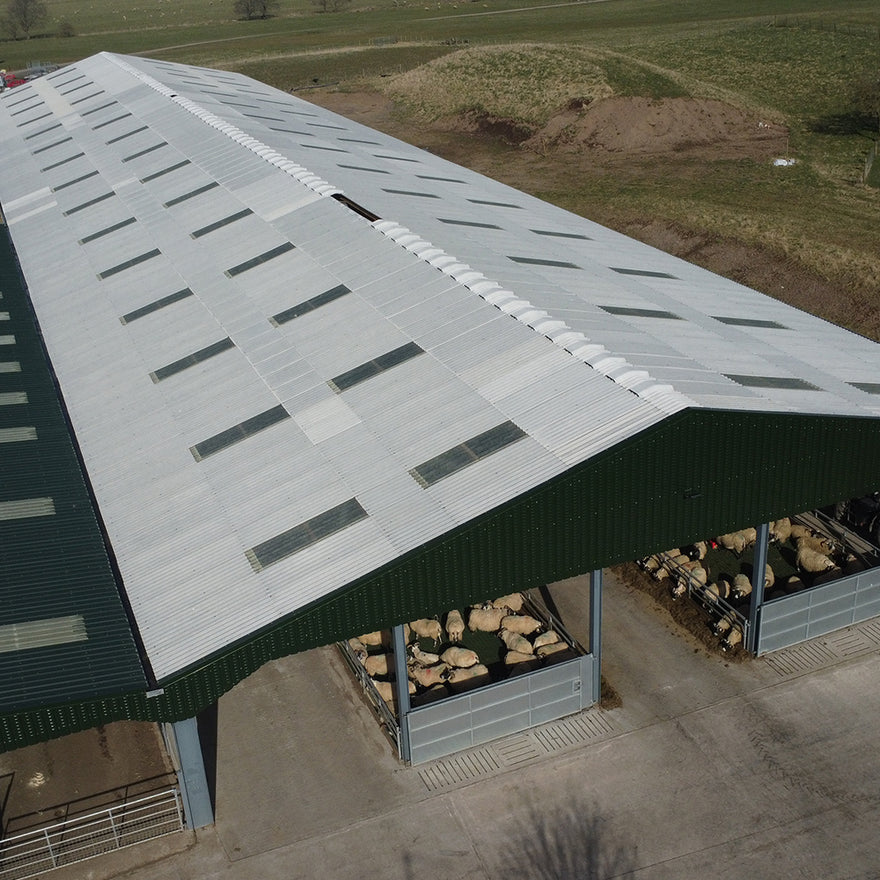 Sheep Sheds | Custom Steel Housing for UK Sheep Farms | Thorburn Group