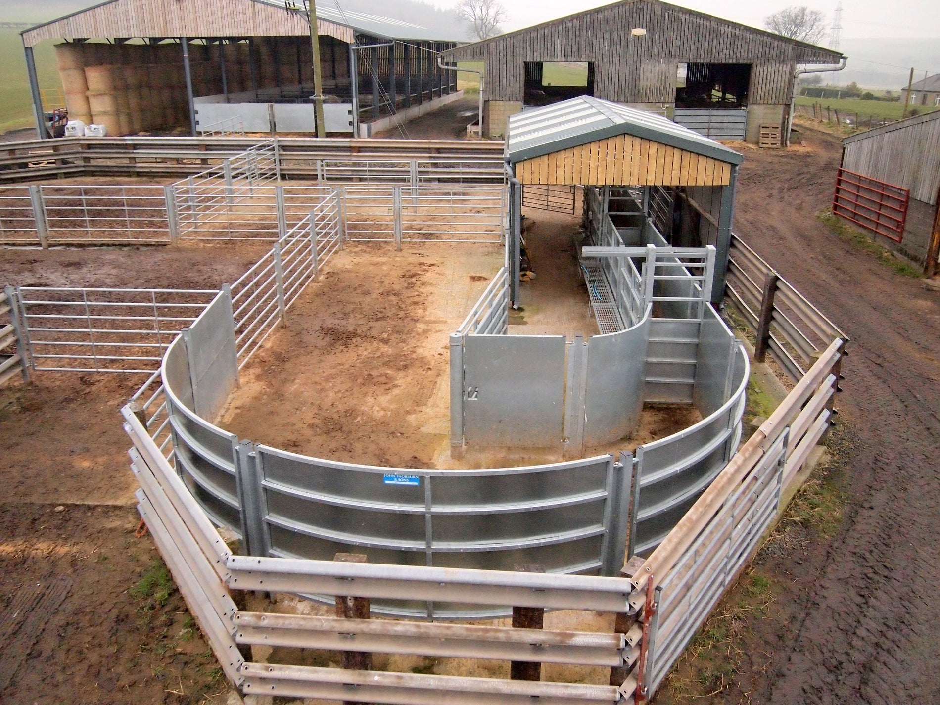 Bespoke Cattle Handling Systems for UK Farms | Thorburn Group